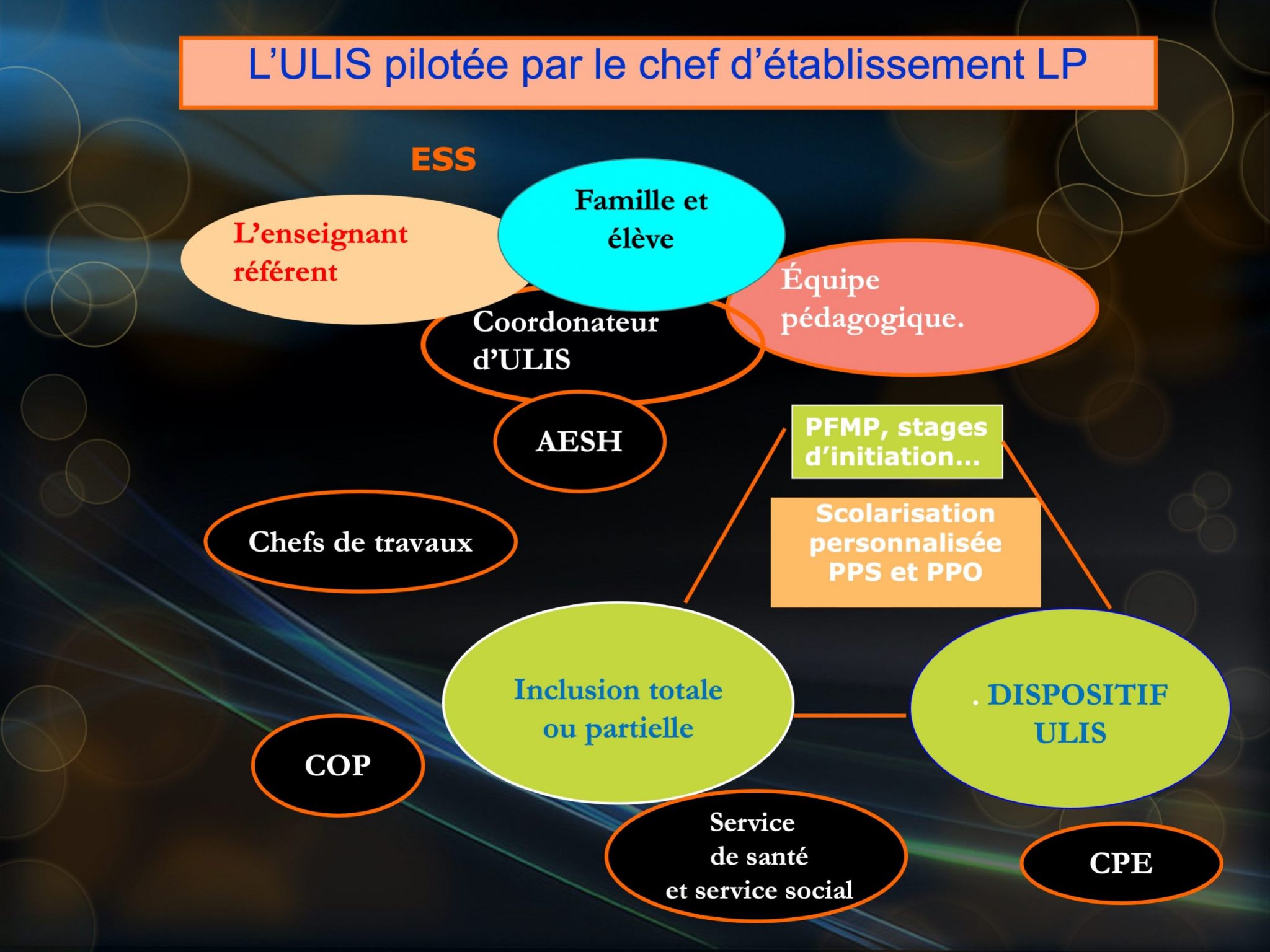 plaquette_ulis – Lycée Charles Jully
